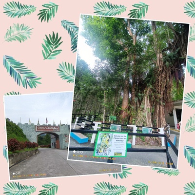 HOGA • Gaharu Tea Valley @ Sungai Itek, Gopeng ⋆ tiny Tan